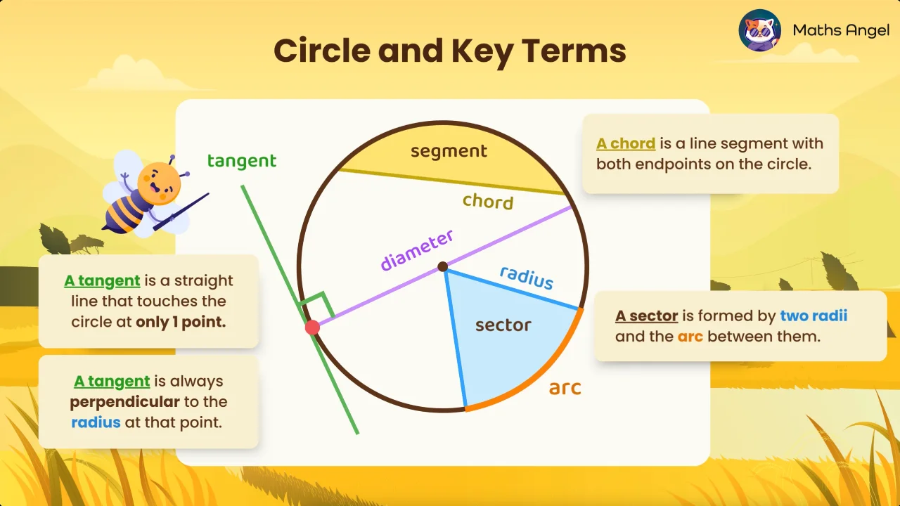 Properties of Circles - Diameter, Chord, Sector, Tangent